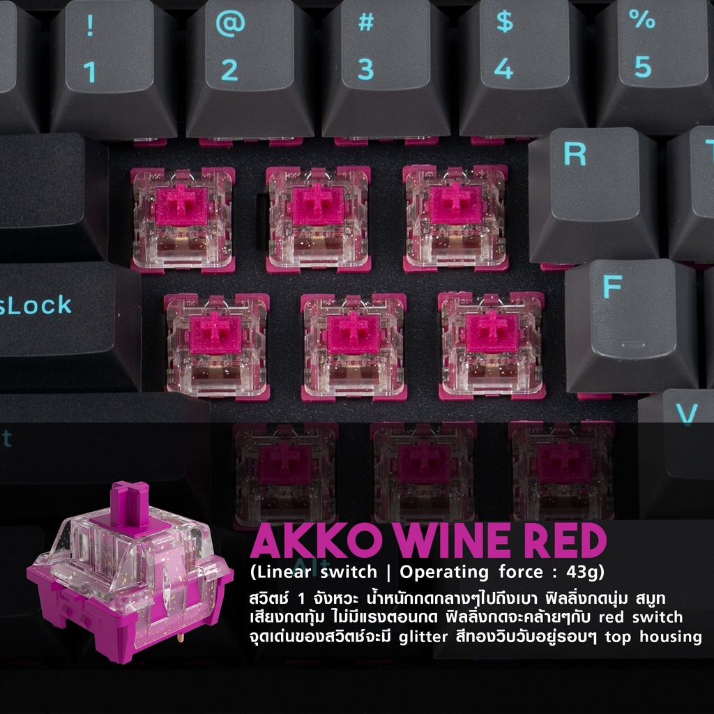 คีย์บอร์ด Akko 3087 Plus Black & Cyan TKL 87 ปุ่ม Akko Switch ...