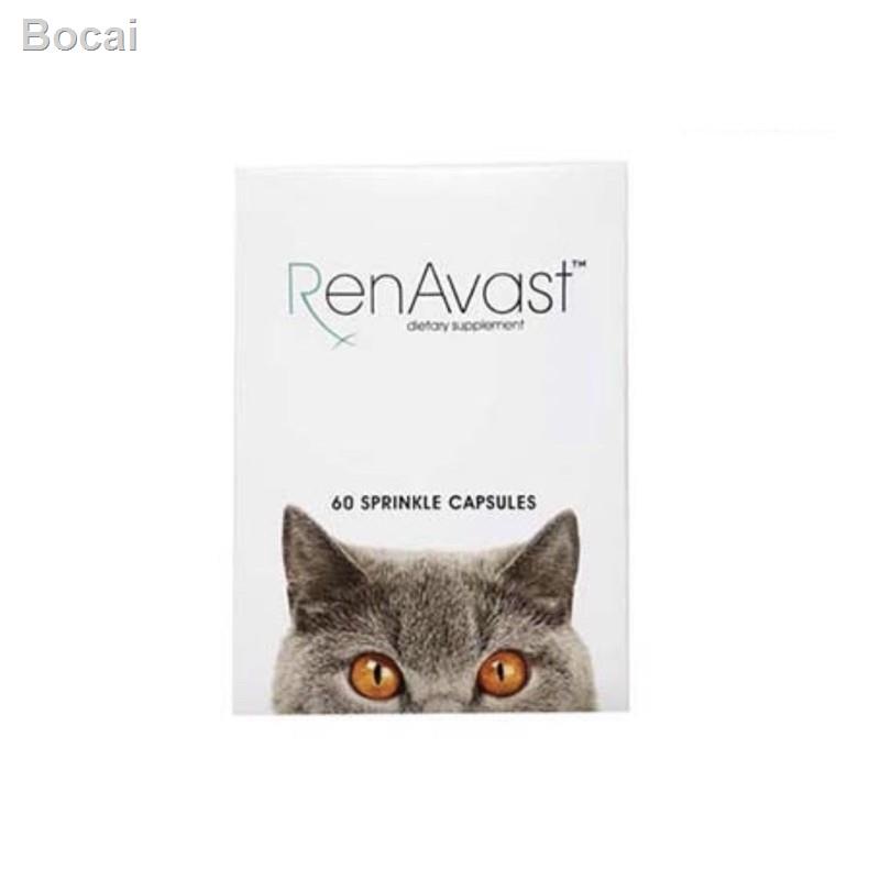 ♧Renavast dietary supplement 1 กล่อง 60 แคปซูล exp.2/24ของขวัญ | Shopee ...