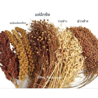 Hamu Restaurant, ร้านค้าออนไลน์ | Shopee Thailand