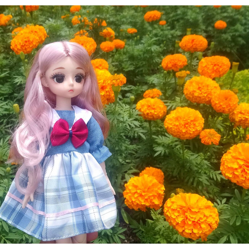 ชุดตุ๊กตา BJD 30 cm ,Yo ,3M ,Baboly ไซส์ใหญ่ | Shopee Thailand