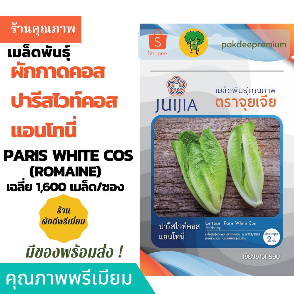 เมล็ด กรีนคอส ผักกาดโรเมน ปารีสไวท์คอส Paris White Cos Romaine เพื่อทำ ...