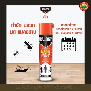 เชนไดร้ท์ สเปรย์ ขนาด 450 มล. CHAINDRITE FOAM เชนไดรท์ เชนไดร้ เชนไดร เ ...