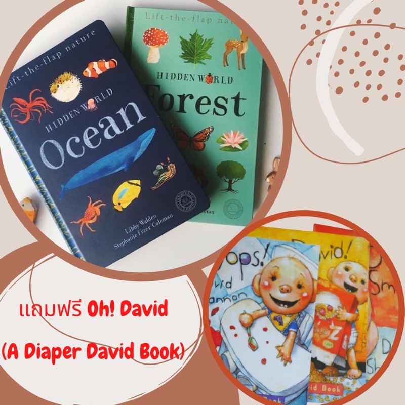 แถมฟรี Oh!David ( A Diaper David book ) หนังสือ Lift the Flap nature - HIDDEN WORLD BOX SET by ...