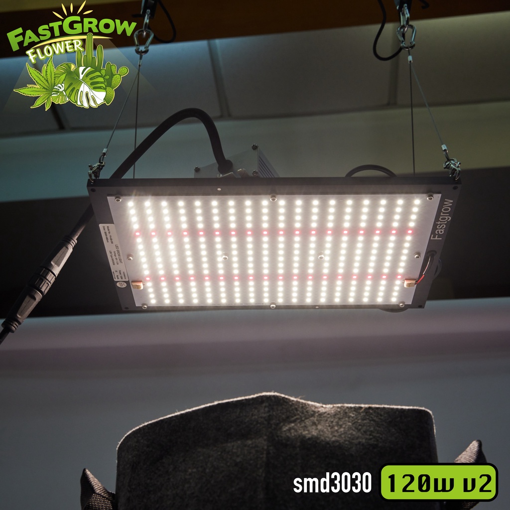 120W V1-3ไฟปลูกต้นไม้ ไฟปลูกพืช 3500k + 660nm LED growlight | Shopee ...