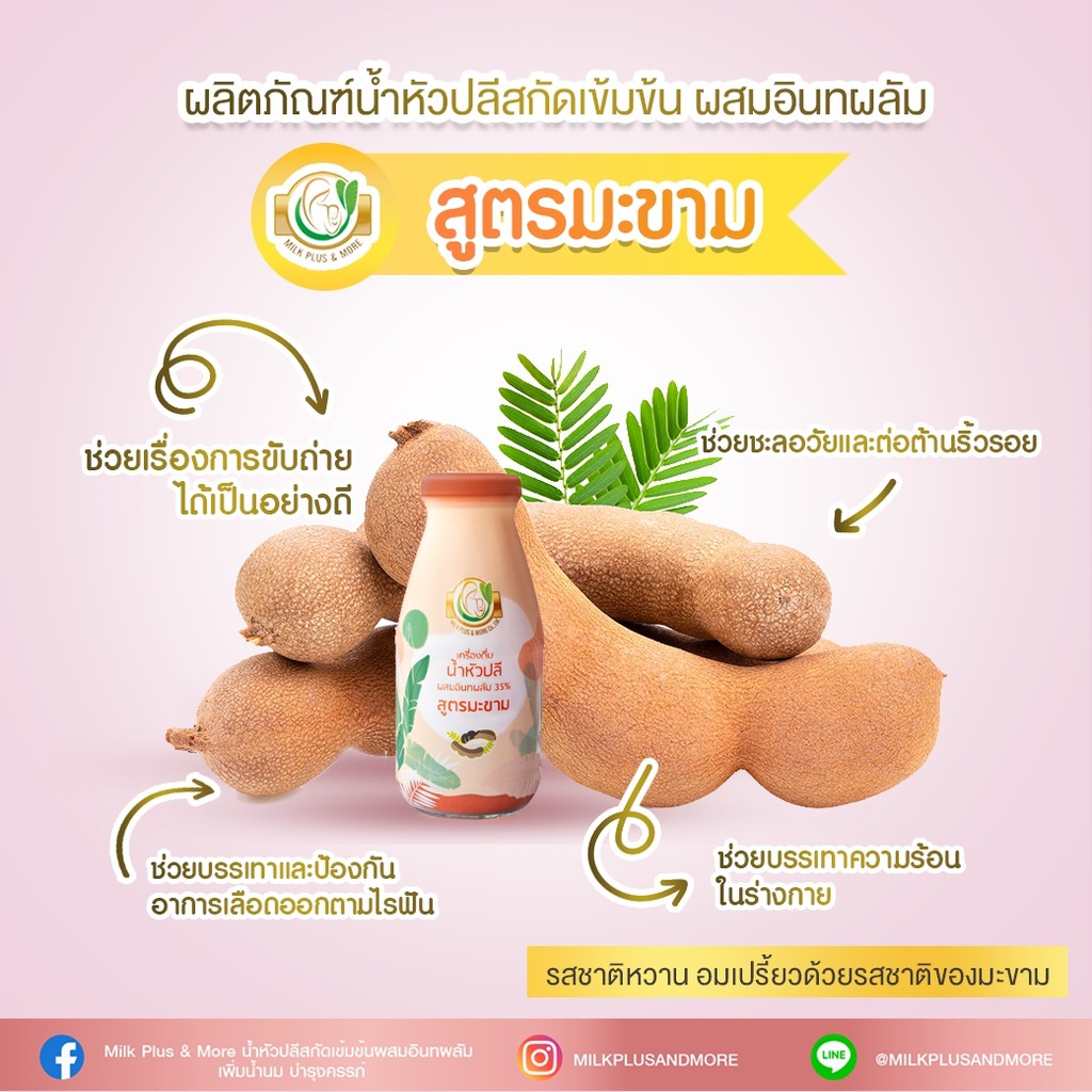 Milk Plus & More(มิลค์พลัสแอนด์มอร์) น้ำหัวปลีเพิ่มน้ำนม บำรุงน้ำนม ...