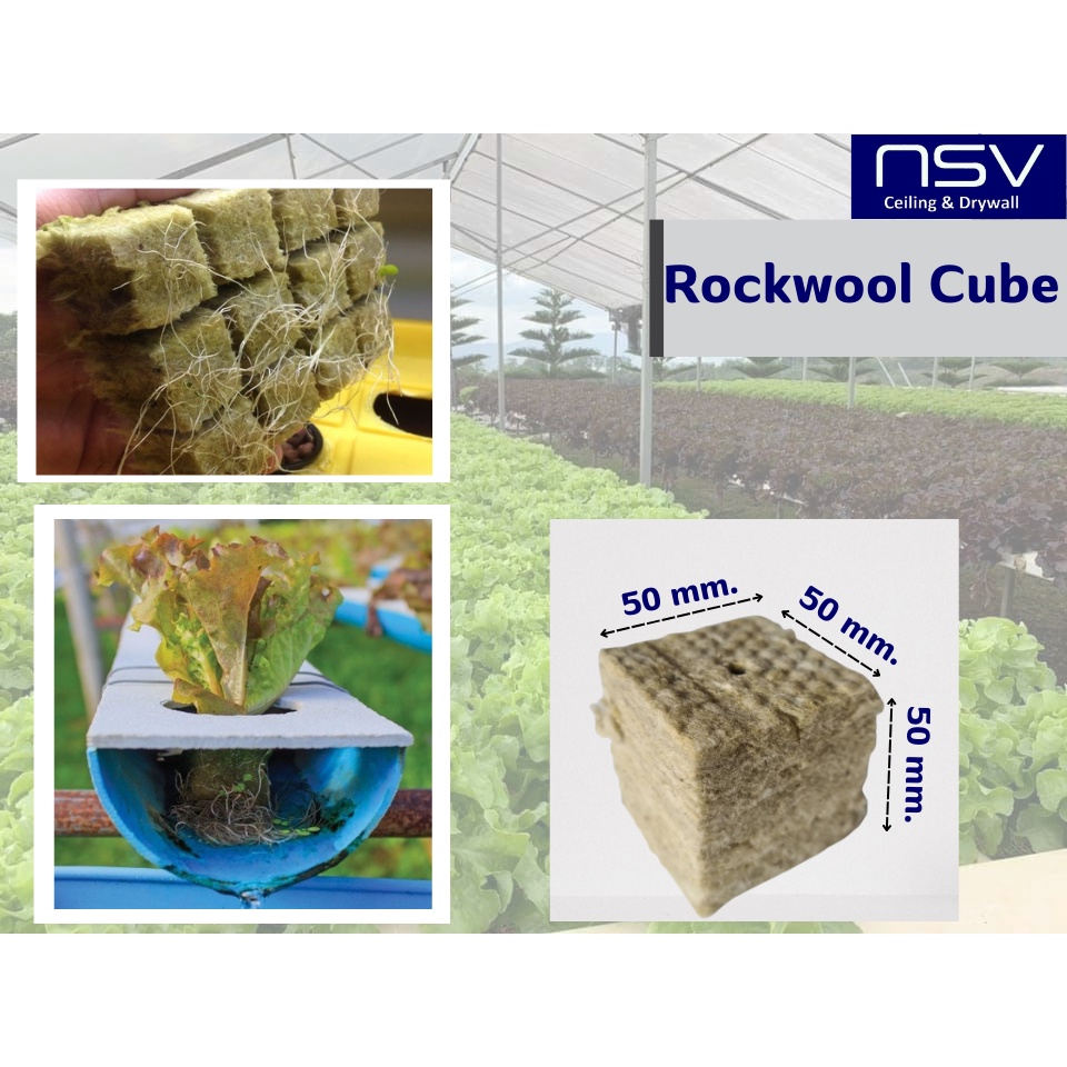 Rockwool Cubes ก้อนใยหินสำหรับเพาะปลูกต้นกล้า เพาะเมล็ด เพาะชำ แบบไฮโดรโปนิกส์ ขนาด 50x50x50 มม. ...