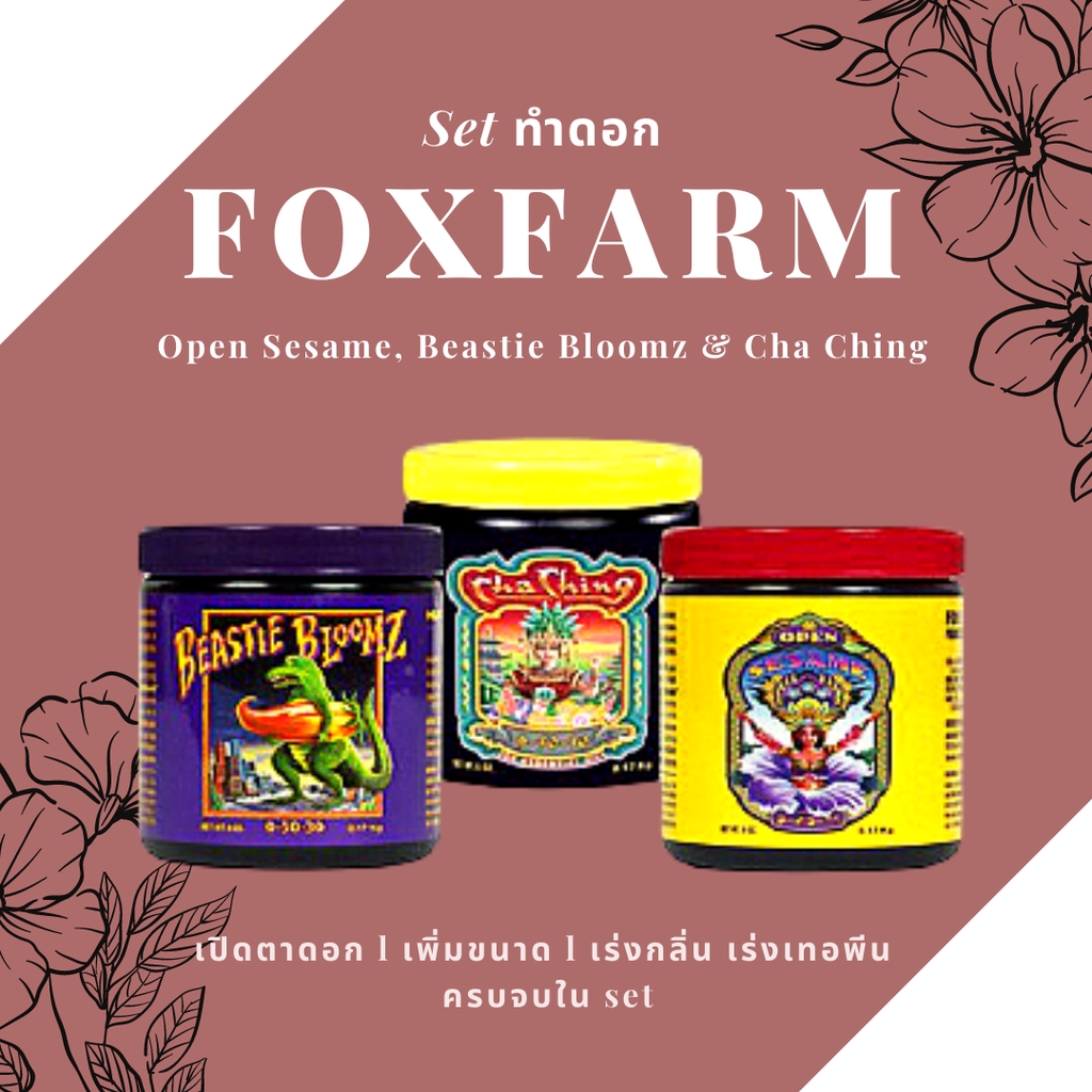 (Set ทำดอก) Foxfarm fox farm Open Sesame, Beastie Bloomz & Cha Ching ...