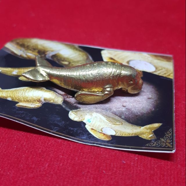 ปลาพยูนมหาเสน่ห์ หลวงพ่อสงวน สำนักสงฆ์ควนปริง จังหวัดสตูล ปี ๒๕๕๙(เนื้อ ...