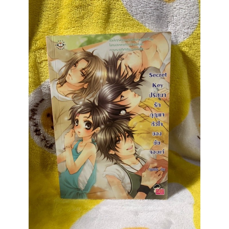 Secret Key ปริศนารักกุญแจหัวใจของยัยจอมเท่ (นิยายแจ่มใสมือสอง) | Shopee ...