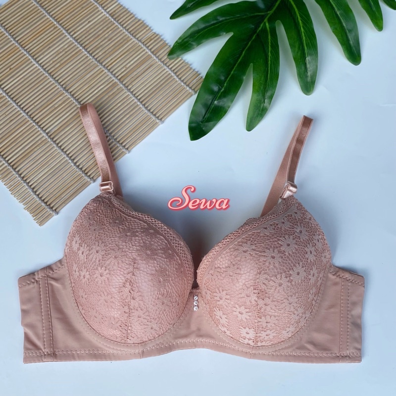 เสื้อในลูกไม้ คัพB มีโครง ฟองบาง ลูกไม้เล็กสวยนิ่ม เต็มทรงเต้าลึก(D64) | Shopee Thailand