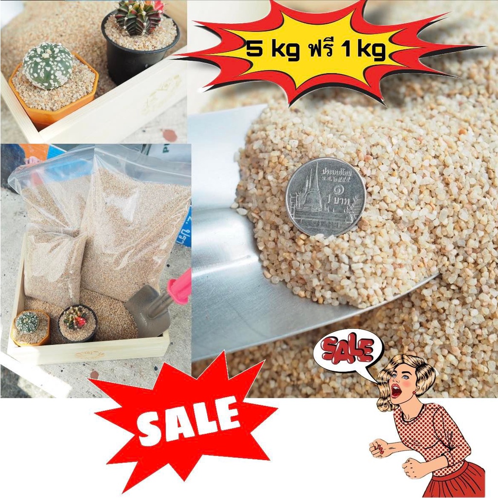 หินโรยหน้าต้นไม้ ซื้อ 5 kg แแถม 1 kg หินกรวด หินแม่น้ำ หินโรยหน้าแคคตัส | Shopee Thailand