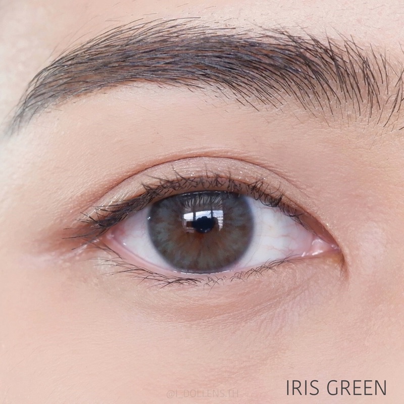 SIESTA IRIS CL COLOR 3 สี ราย 6 เดือน (Made in Korea) | Shopee Thailand