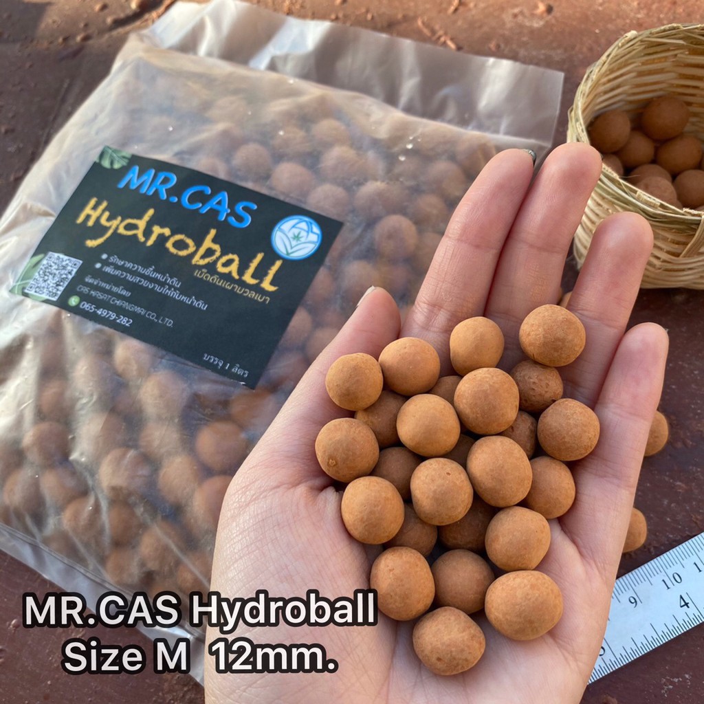 Pro 1 แถม 1 Hydroball เม็ดดินเผามวลหนัก 1ลิตร ไซส์ M ขนาด 12 mm. (1.2 kg. ต่อ ลิตร) | Shopee ...