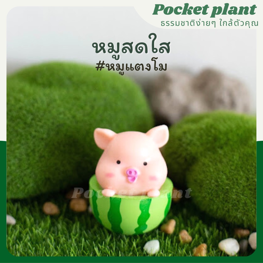 หมูสดใส ตุ๊กตาแต่งสวนจิ๋ว จัดสวนถาด โมเดลบ้านจิ๋ว [DolA-M-007] | Shopee ...