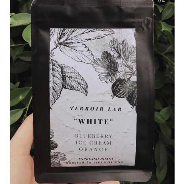 เมล็ดกาแฟ "White" [Terroir Laboratory ] - Blueberry, Ice cream , Orange ...