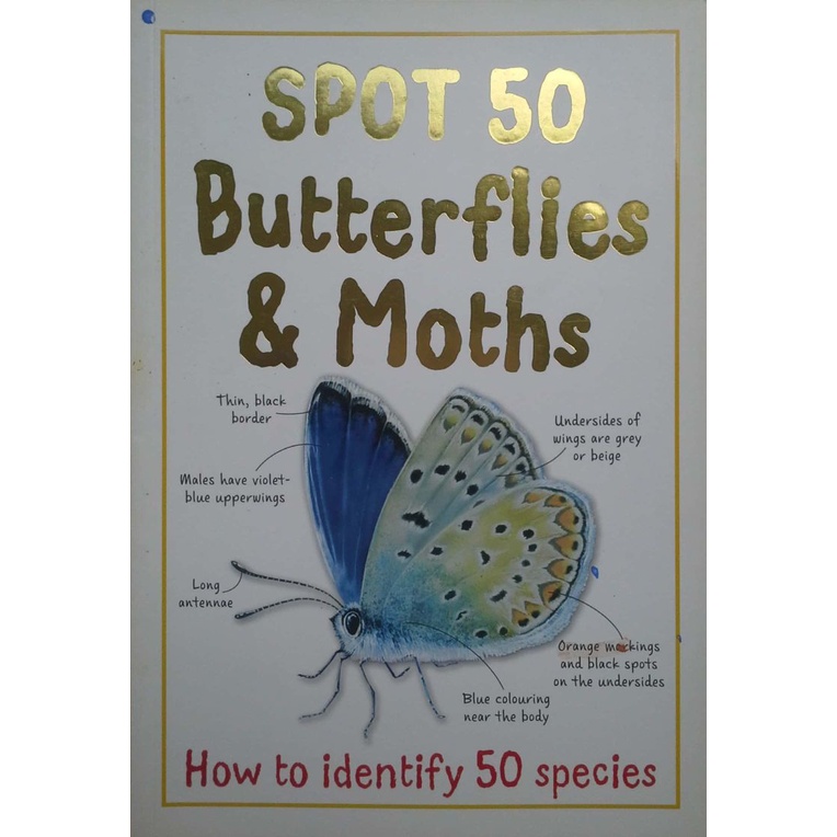 Spot 50 insects, wildflowers, birds, butterflies, trees หนังสือมือสอง ...
