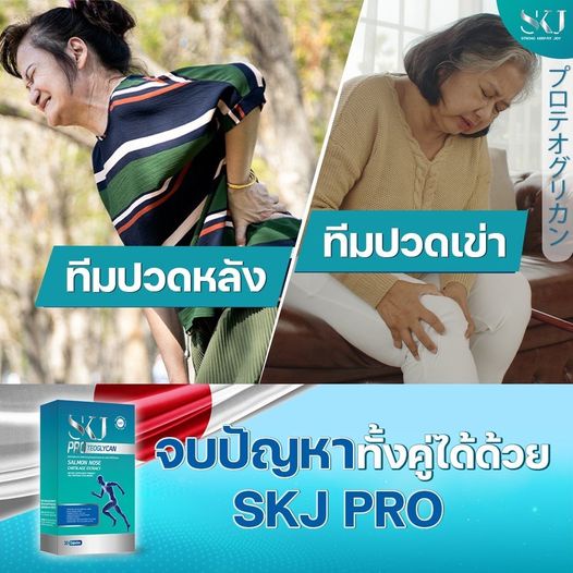 SKJ Proteogycan อาหารเสริมแก้ปวดเข่า เอสเคเจ โพรทีโอไกลแคน 30 แคปซูล | Shopee Thailand