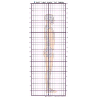 Postural Analysis Grid Chart | Shopee Thailand