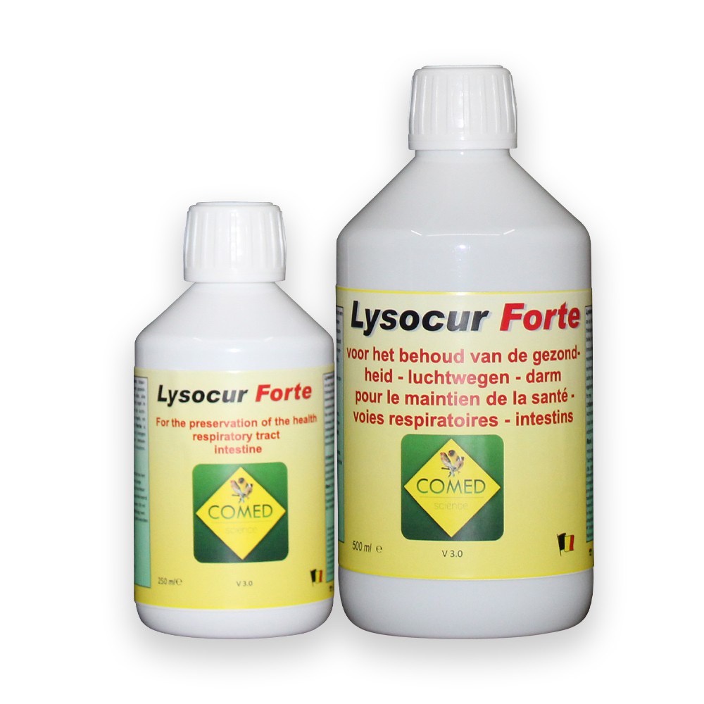 COMED LYSOCUR FORTE วิตามินอาหารเสริมบำรุงสุขภาพช่วยเรื่องระบบทางเดิน ...