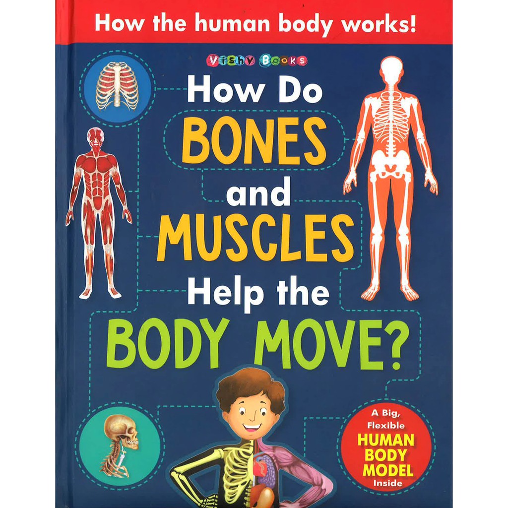 How Do Bones and Muscles Help The Body Move? หนังสือเด็ก ร่างกายมนุษย์ ...
