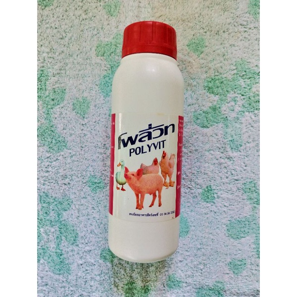 ิวิตามินรวม โพลี่วิท Polyvit | Shopee Thailand