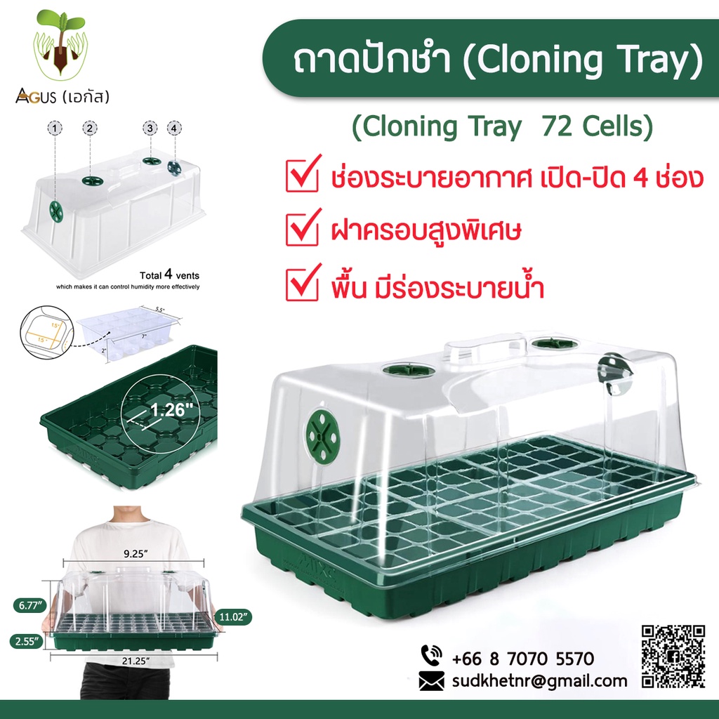 ถาด ปักชำ กัญชา Cannabis Cloning tray 72 cell ขนาด 21.25" ถาด เพาะ ...
