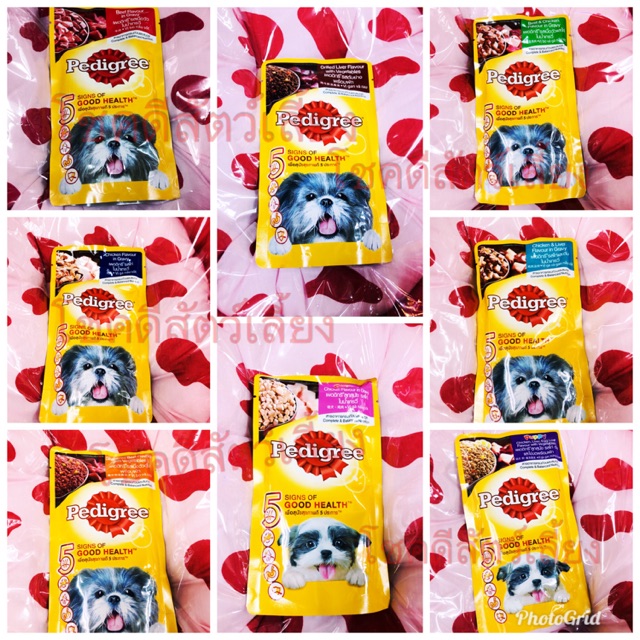 MaeNid (พร้อมส่ง) เพดดิกรี เพาซ์ | Shopee Thailand