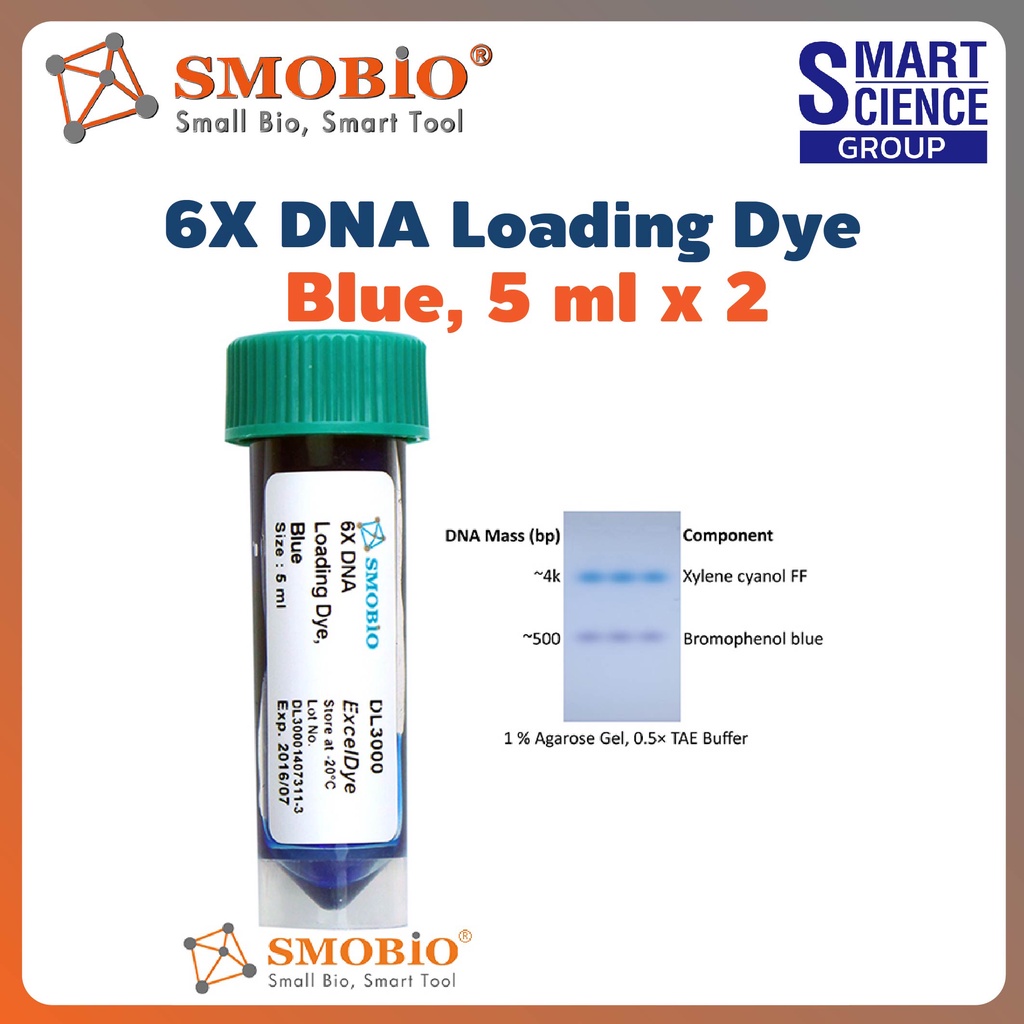 ExcekDye 6X DNA Loading Dye 4,000 bp and 500 bp Xylene cyanol FF Bromophenol blue agarose ...