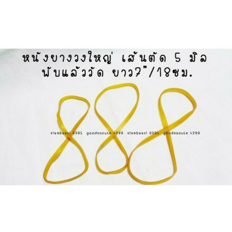 หนังยางแถบหนาวงใหญ่ rubber band เส้นตัด 5 มม. ยาว7"/18ซม. หนังยาง ...