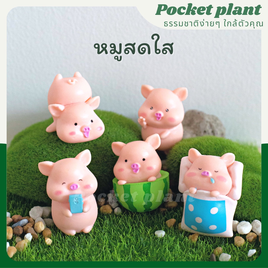 หมูสดใส ตุ๊กตาแต่งสวนจิ๋ว จัดสวนถาด โมเดลบ้านจิ๋ว [DolA-M-007] | Shopee ...