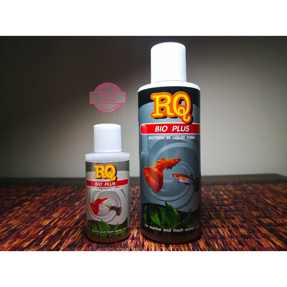 RQ BIO PLUS อาร์คิว ไบโอ พลัส (แบคทีเรียน้ำย่อยสลายของเสีย เศษอาหาร ...