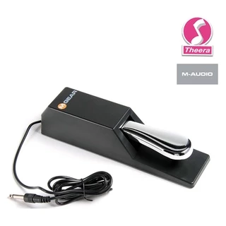 Theera Music, ร้านค้าออนไลน์ | Shopee Thailand