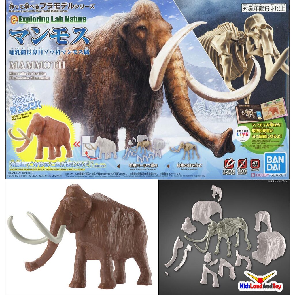 4573102621795 EXPLORING LAB NATURE MAMMOTH | Shopee Thailand