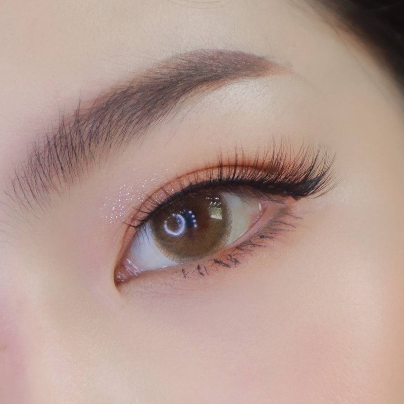 คอนแทคเลนส์ Frozen Brown (Beautylens)[มีค่าสายตาสั้นถึง 1000] สีน้ำตาล ...