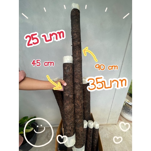 เสาไม้เลื้อยตาข่ายพลาสติกหุ้มมะพร้าวสับ สินค้าเป็น DIY 90cm | Shopee Thailand