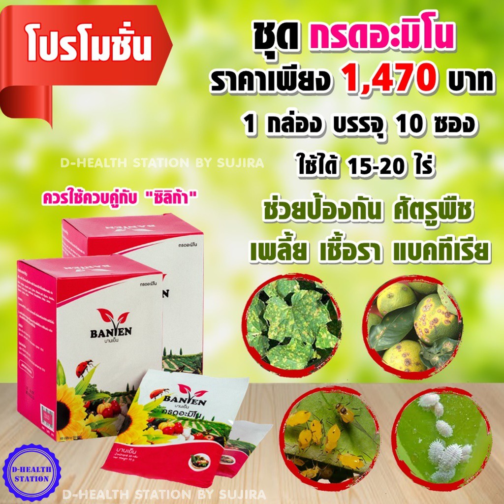 กรดอะมิโน บานเย็น BANYEN ป้องกันโรคและแมลงศัตรูพืช สร้างเซลล์เป็นเกราะ ...