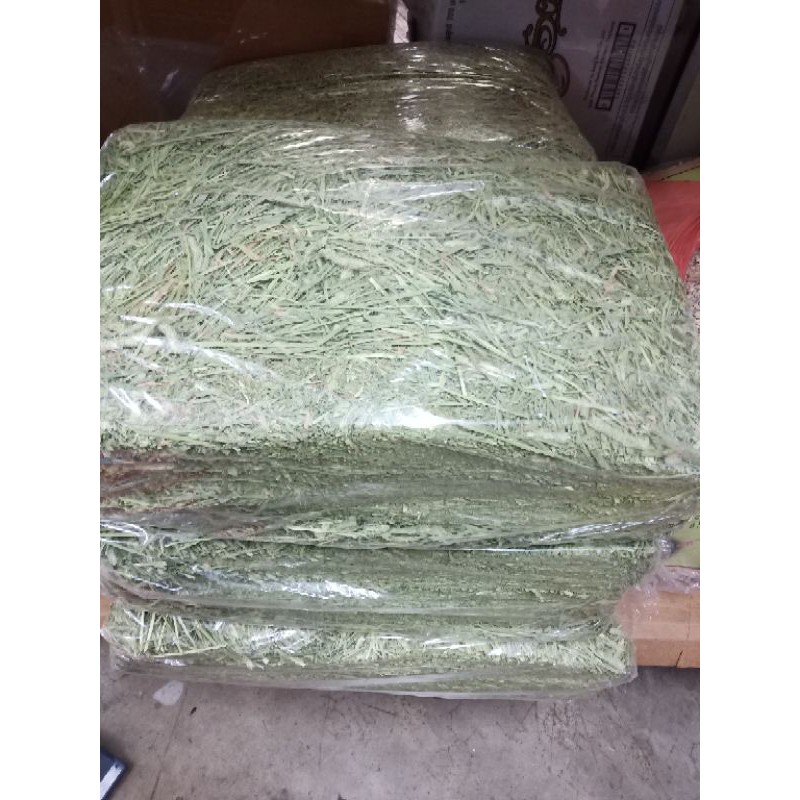 หญ้าTimothy premium ขนาด 4 kg. | Shopee Thailand