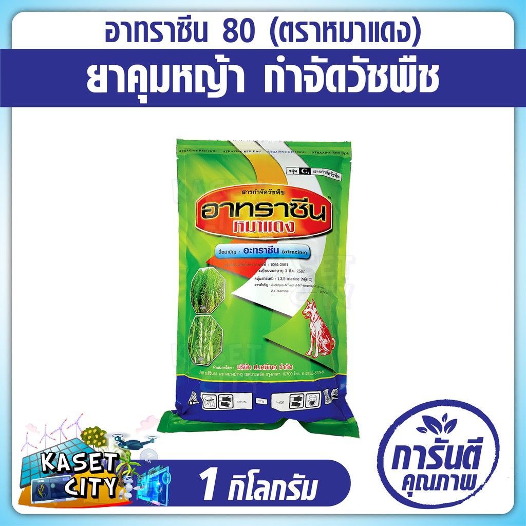 อาทราซีน 80 ตราหมาแดง (Atrazine 80 WP) 1 kg. ยาคุมหญ้า สารกำจัดวัชพืช ...