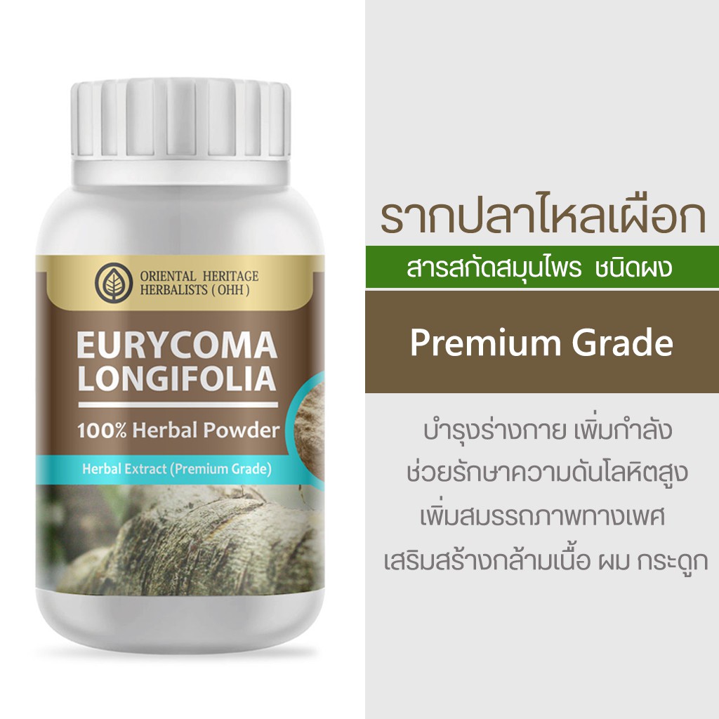 รากปลาไหลเผือก Eurycoma Longifolia Herb Powder Extract 100% (เกรดพรีเมี ...