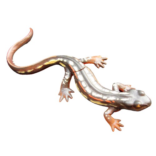 Mini Figure Model จิ้งจกน้ำ SWORD TAIL NEWT ขนาด 2 นิ้ว สวย เหมือนจริง ...