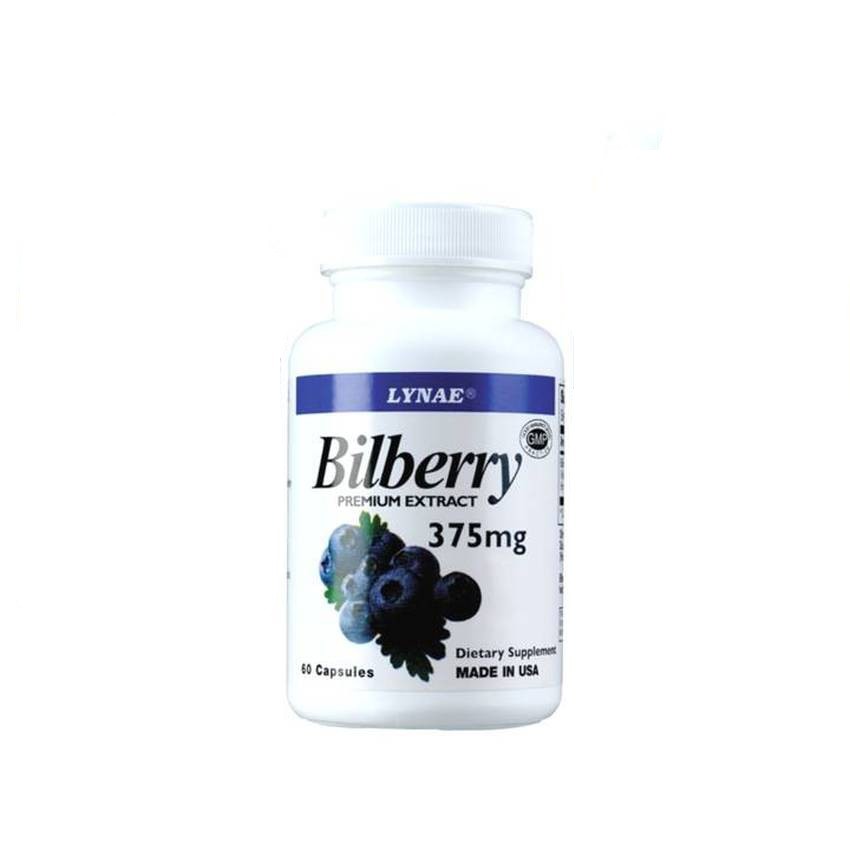 LYNAE Bilberry Premium Extract 375 mg 60 Capsule Vitamin USA ไลเน่ สาร ...