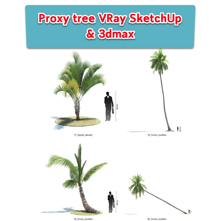 Proxy tree for VRay SketchUp & 3dMax (Archmodel v.85) | Shopee Thailand