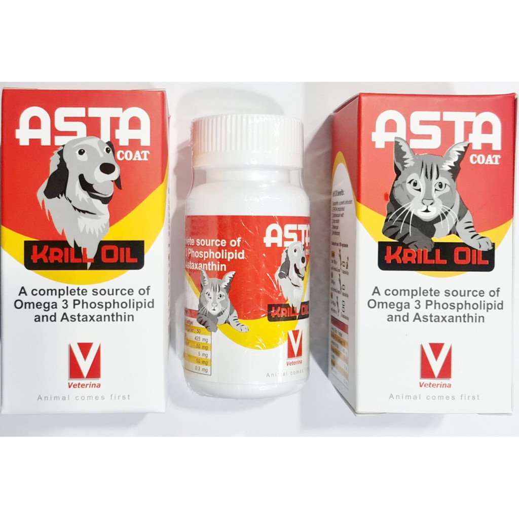 ASTA Coat Krill Oil อาหารเสริม บำรุงผิวขน บำรุงข้อ สายตา สมอง สุนัข-แมว ...