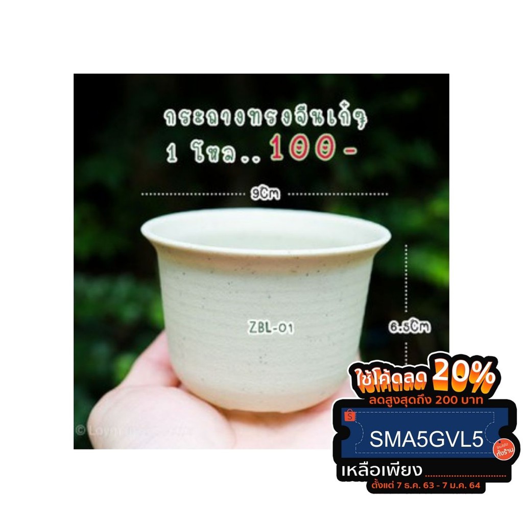 กระถางกระบองเพชรทรงจีน | Shopee Thailand