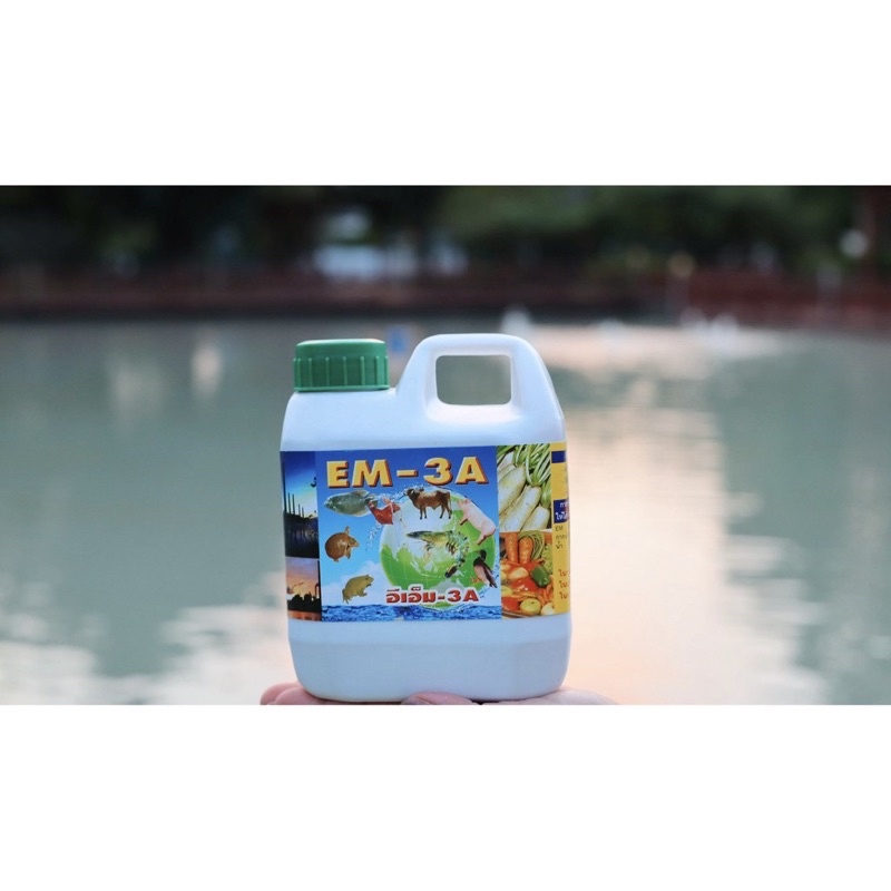 EM-3A ขนาด 1 ลิตร จุลินทรีย์ธรรมชาติบำบัดชนิดน้ำ กำจัดกลิ่น สูตรเข้มข้น ...