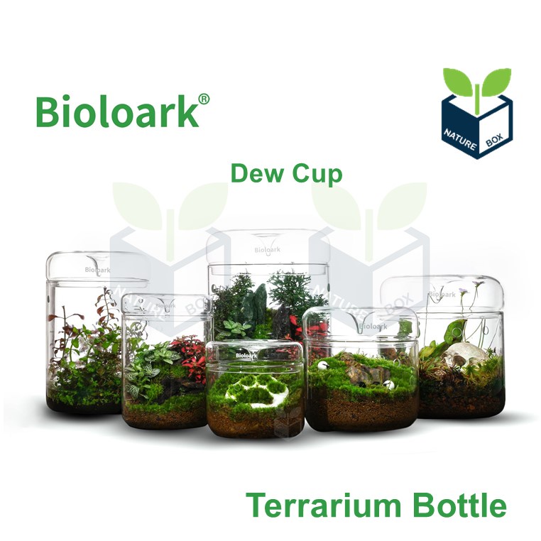 Bioloark Dew Cup Terrarium Bottle MY series (Biolark) (มีสินค้าพร้อมส่ง ...