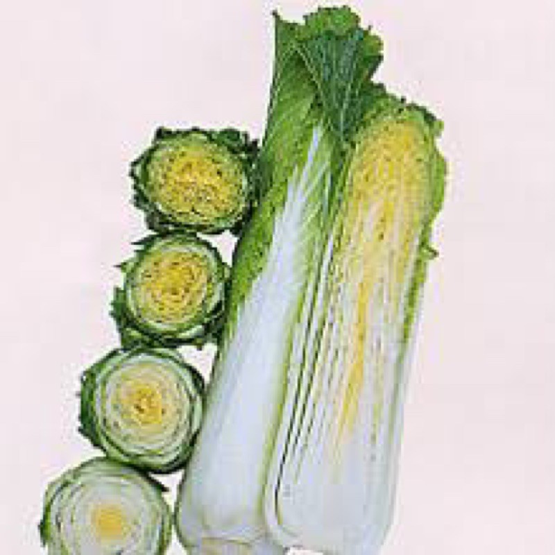 เมล็ดพันธุ์ ผักกาดขาว หางหงส์ ( Chinese Cabbage - Michilli Seed ) บรรจุ ...