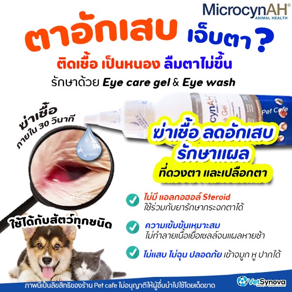 เจลป้ายตา MicrocynAH Eye Care Gel / Eye Wash ลดอาการอักเสบ และกระตุ้น ...