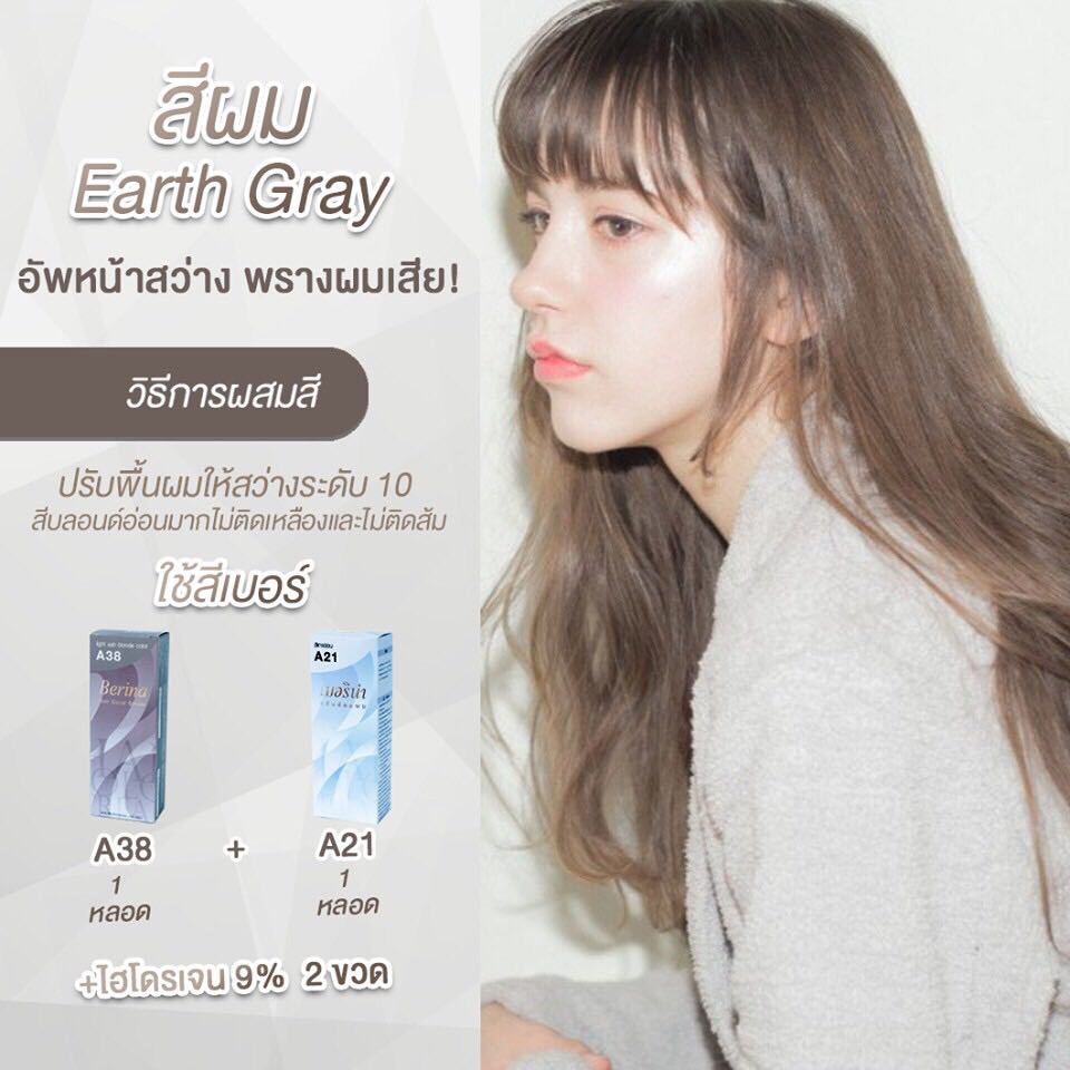 เบอริน่า เซตสี A38 + A21 Earth Gray สีผม สีย้อมผม ครีมย้อมผม เปลี่ยนสี ...
