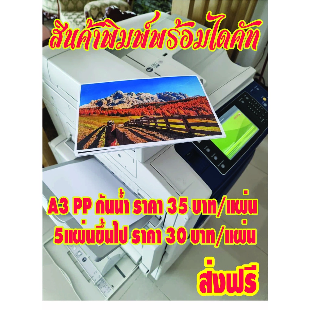 สติกเกอร์ ฉลากสินค้า กันน้ำ ไดคัท PP A3 | Shopee Thailand